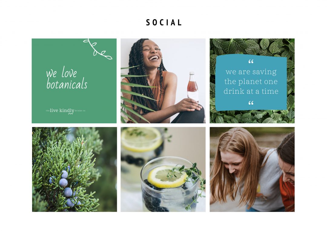Live Kindly Drinks Company Branding | Drink Branding Design