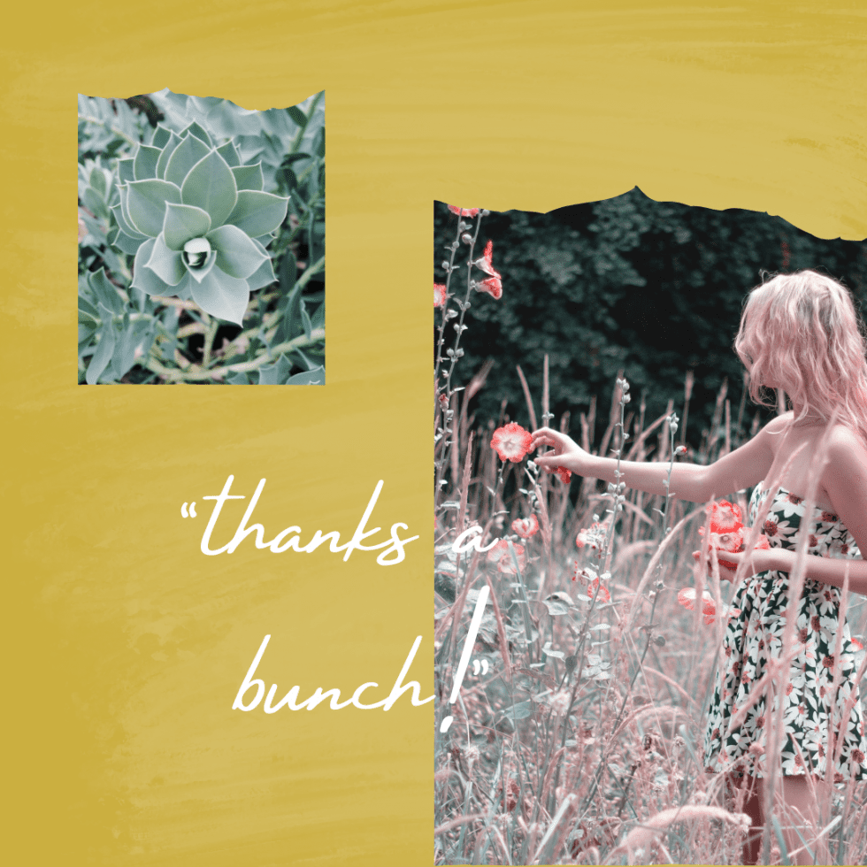 Botanical Instagram Templates | Creative Wilderness