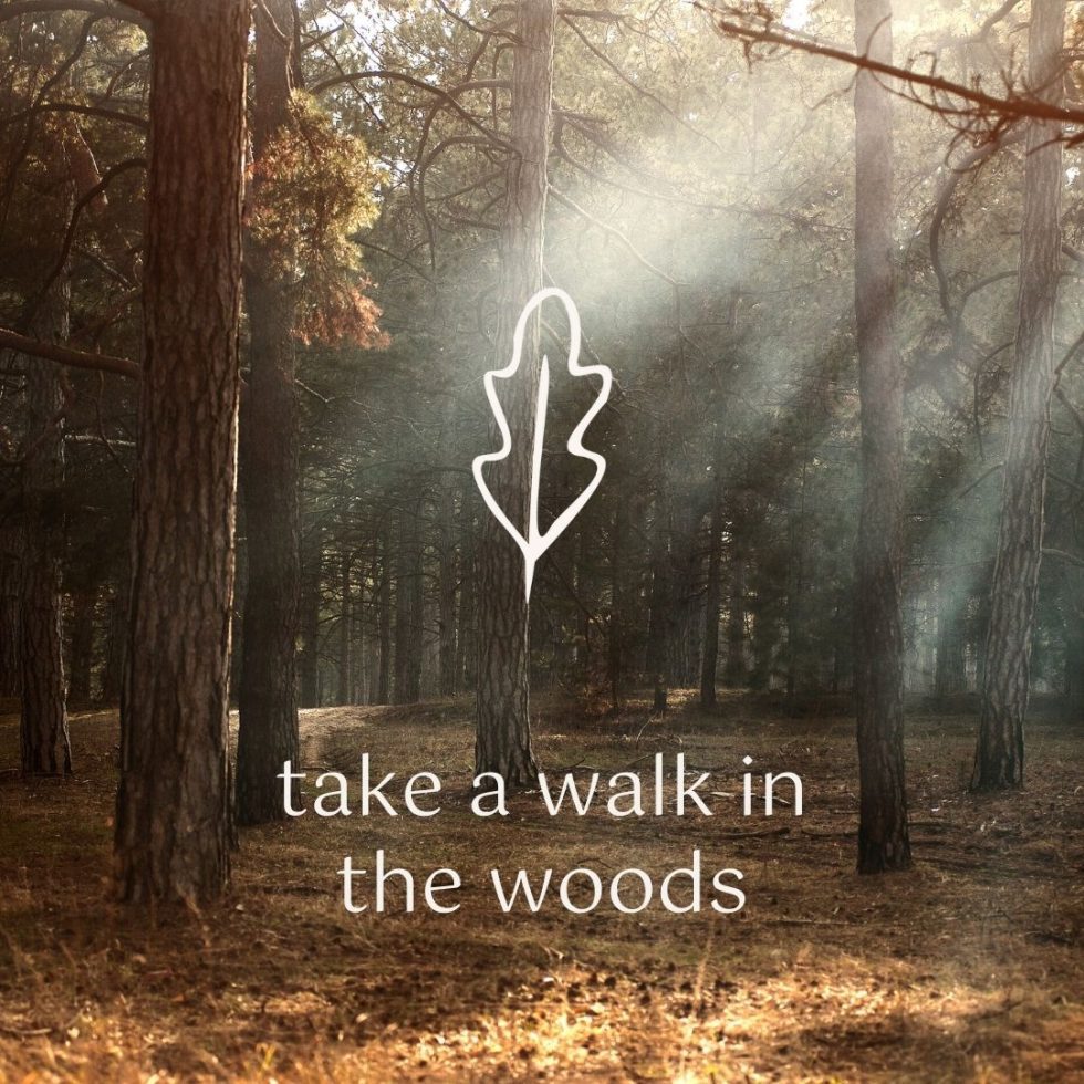 Woodland Forest Earth Nature Canva Instagram Templates | Green
