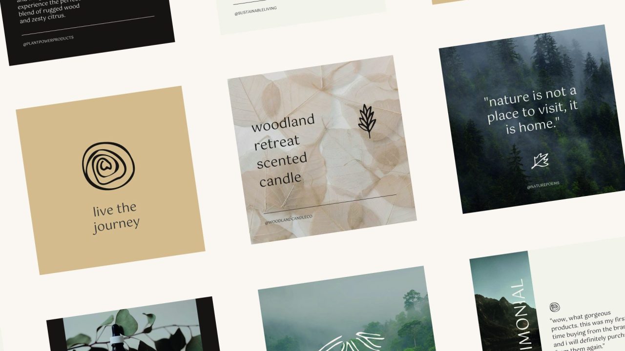 Wild Wood Eco Natural Brand Identity | Pre-Made Brand Kit