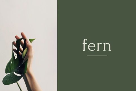 Wellness Yoga Holistic Natural Organic Logo Brand Kit | Fern Logo