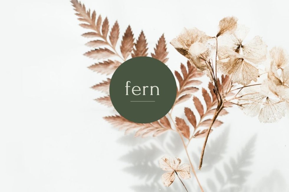 Wellness Yoga Holistic Natural Organic Logo Brand Kit | Fern Logo