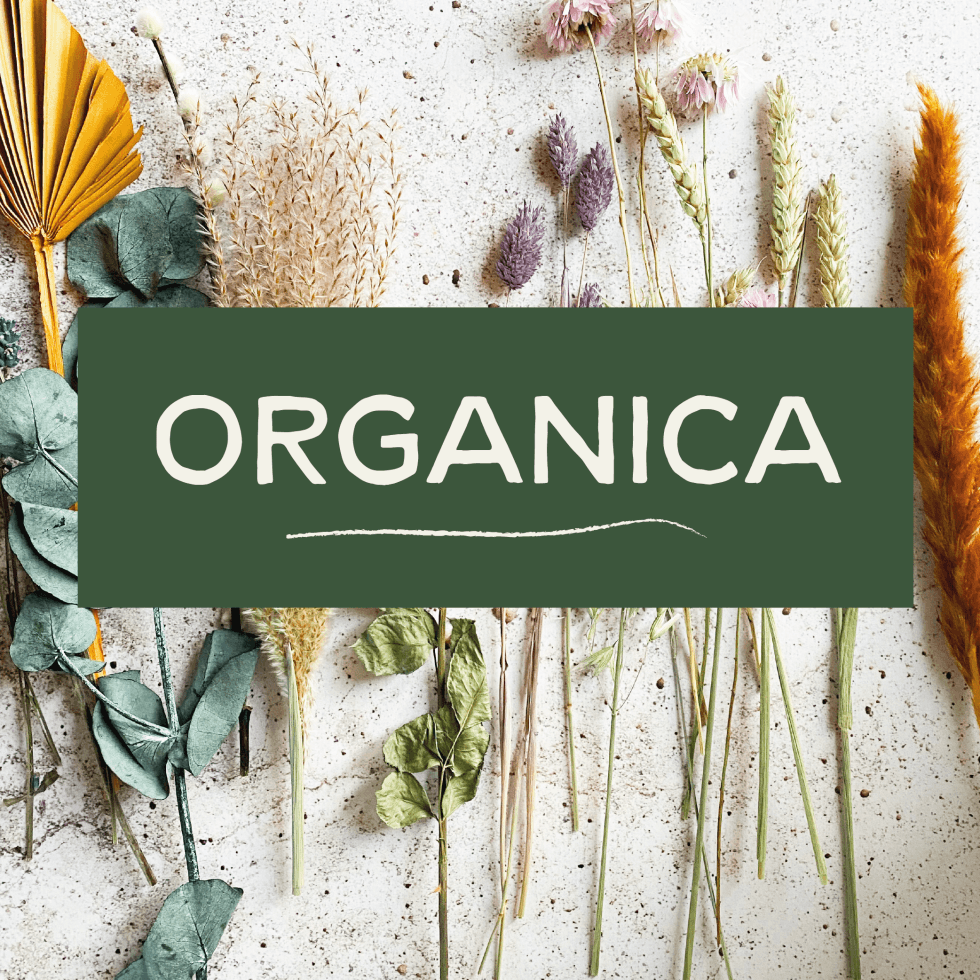 Sustainable Eco Organic Earth-Friendly Branding & Logo Design