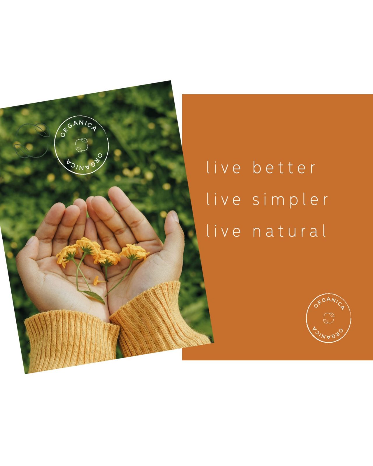 Sustainable Eco Organic Earth-Friendly Branding & Logo Design